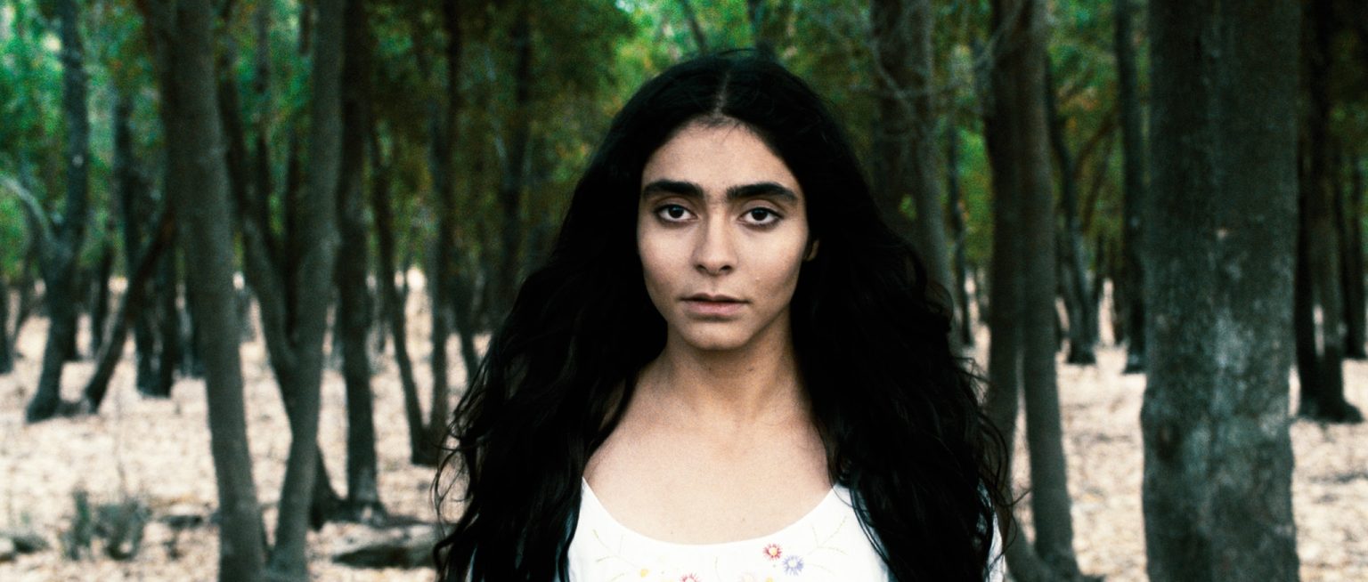 Women Without Men « Stadtkino Wien